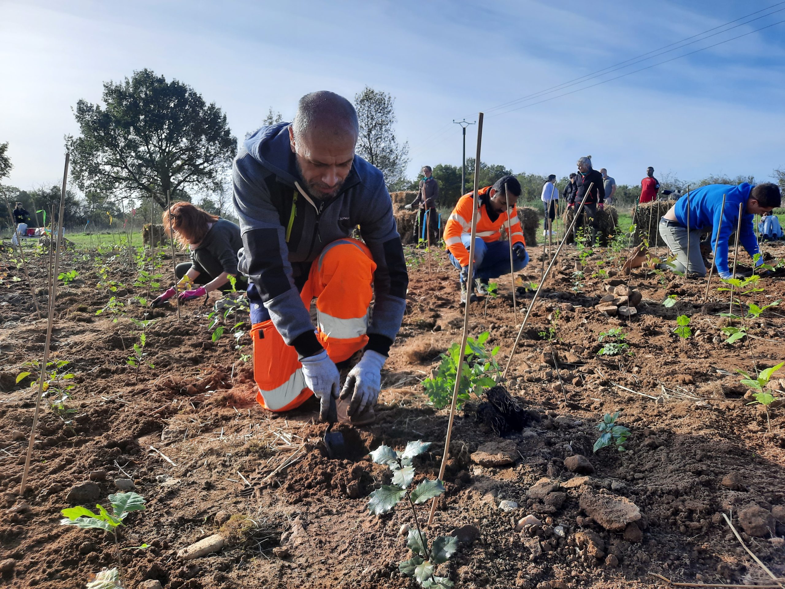 Nouveau MiniBigFilm - MiniBigForest
