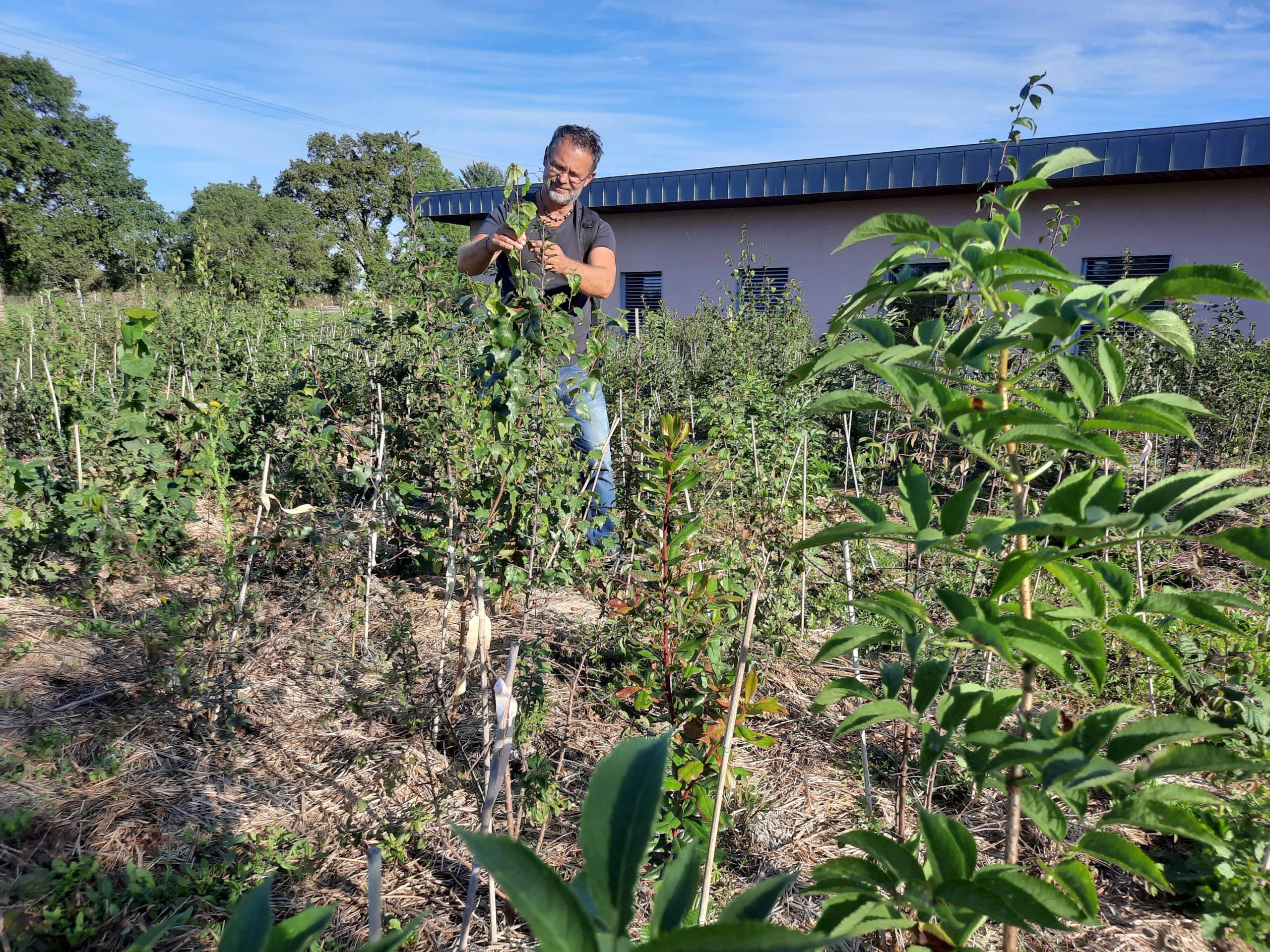Le bois Pasquier - MiniBigForest