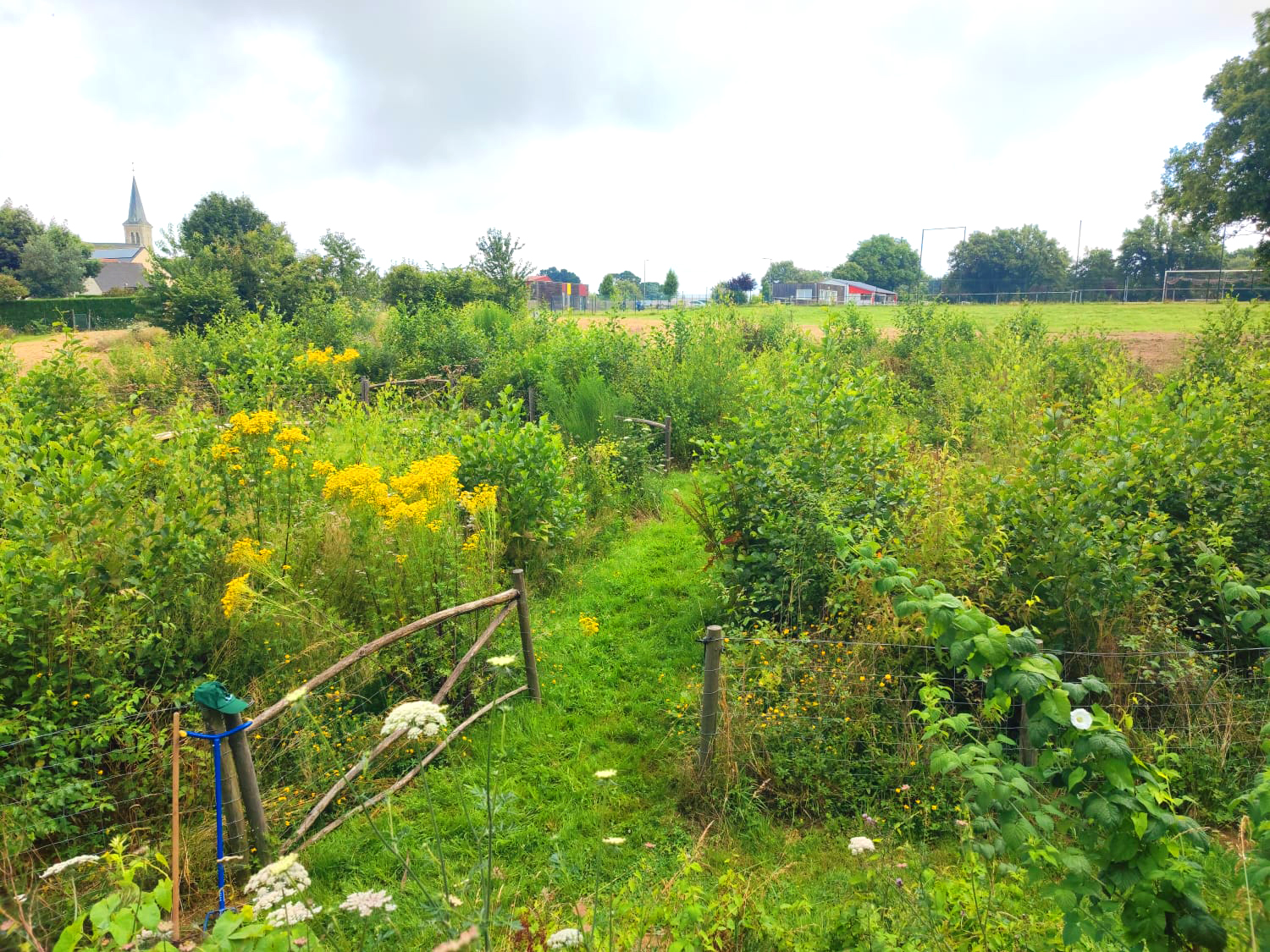 La Pacanière - MiniBigForest