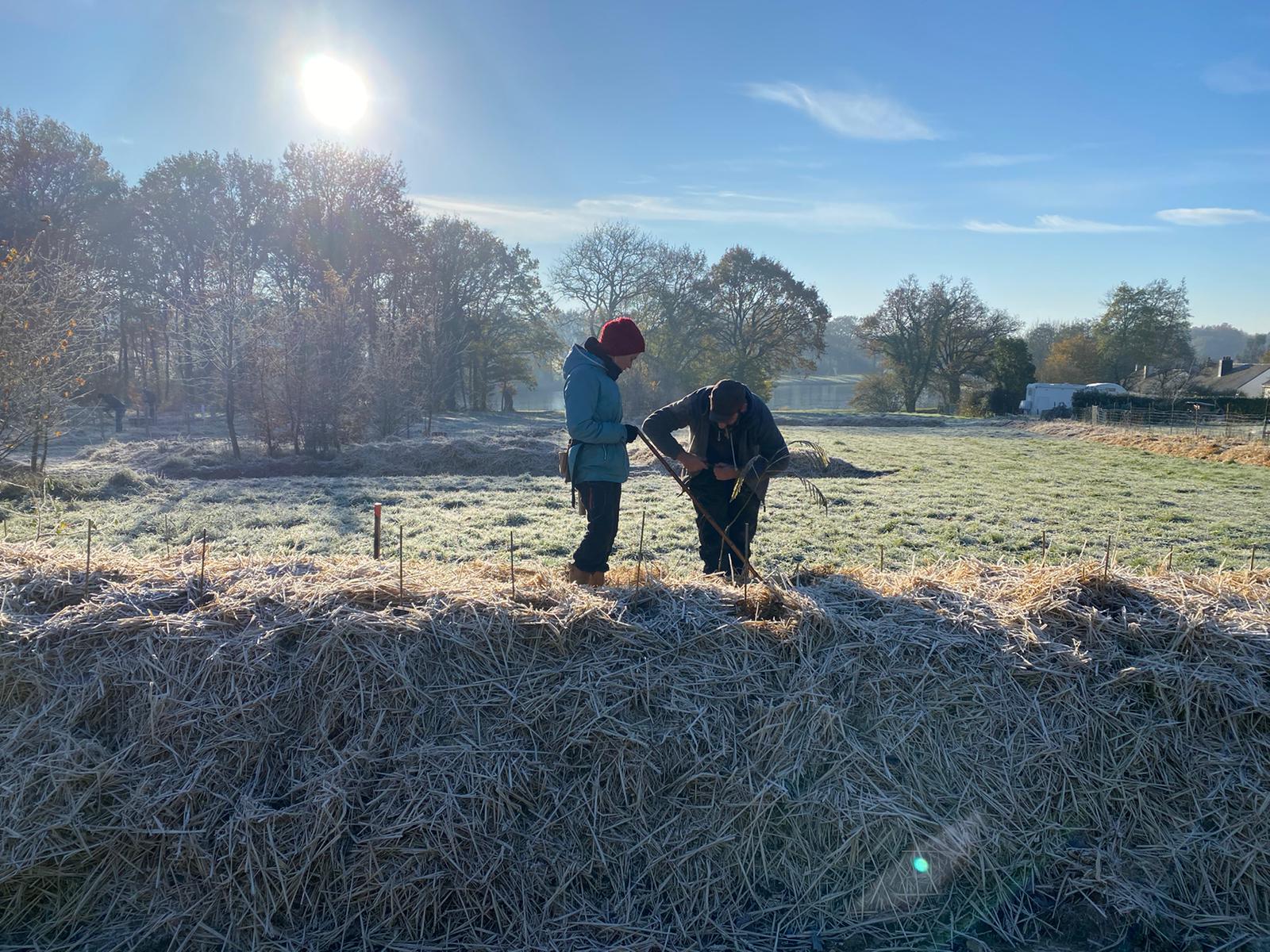 La Pacanière - MiniBigForest