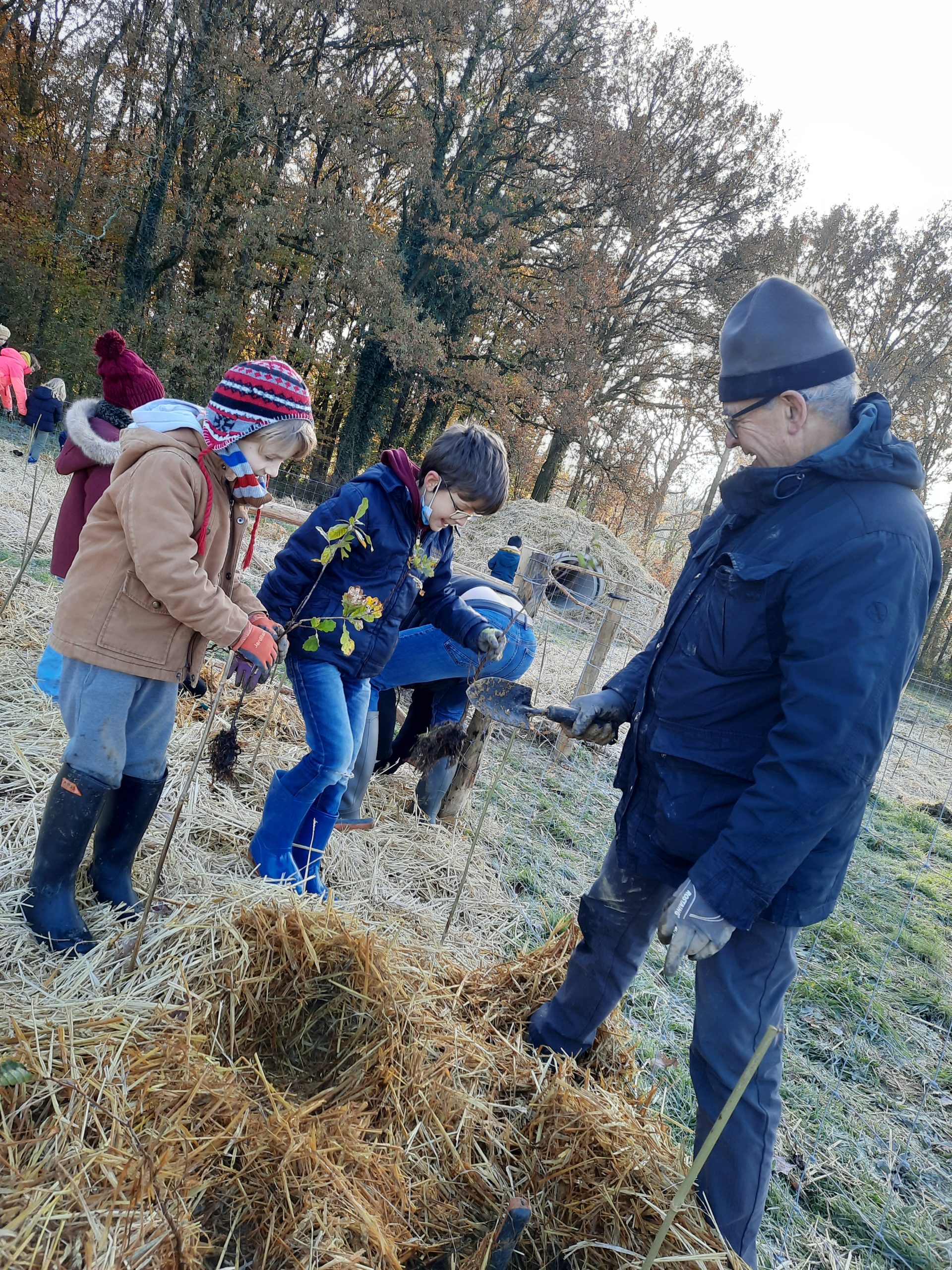 La Pacanière - MiniBigForest