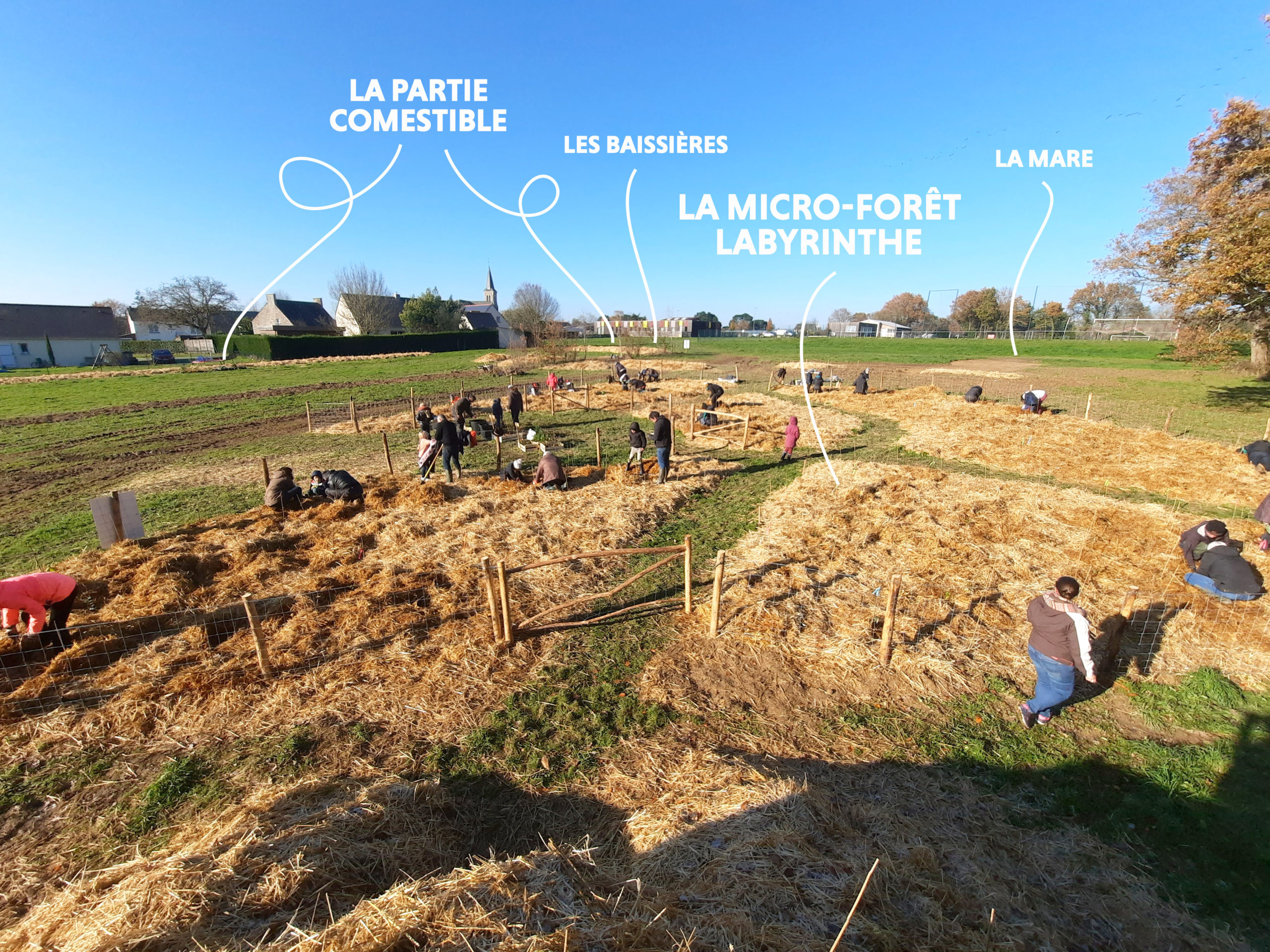 La Pacanière - MiniBigForest