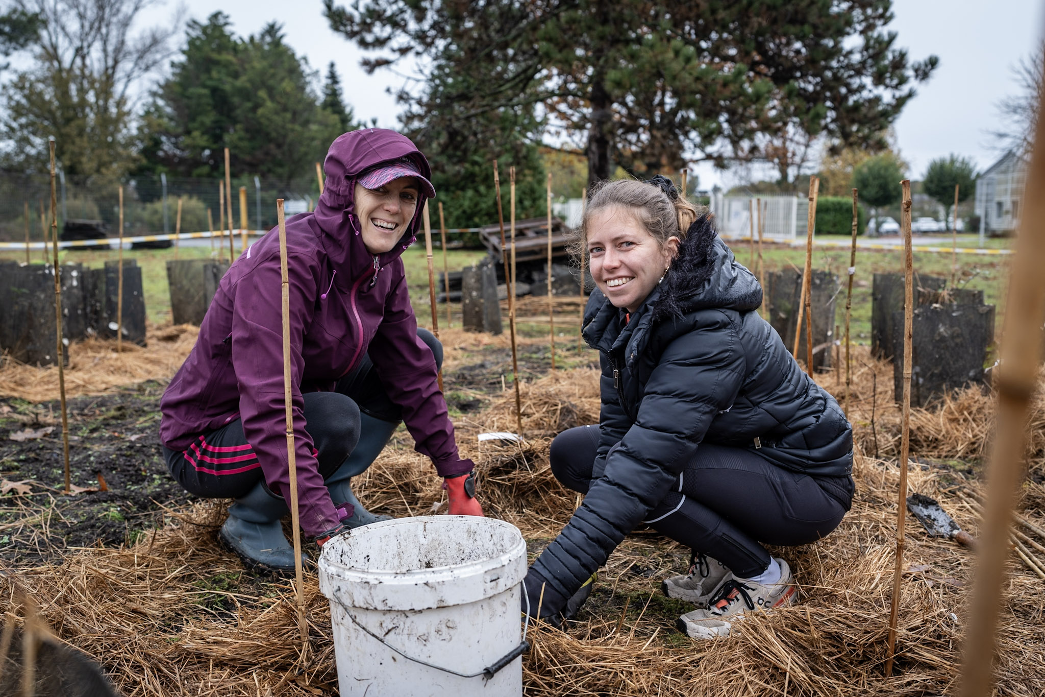 La P'tite Forêt - MiniBigForest